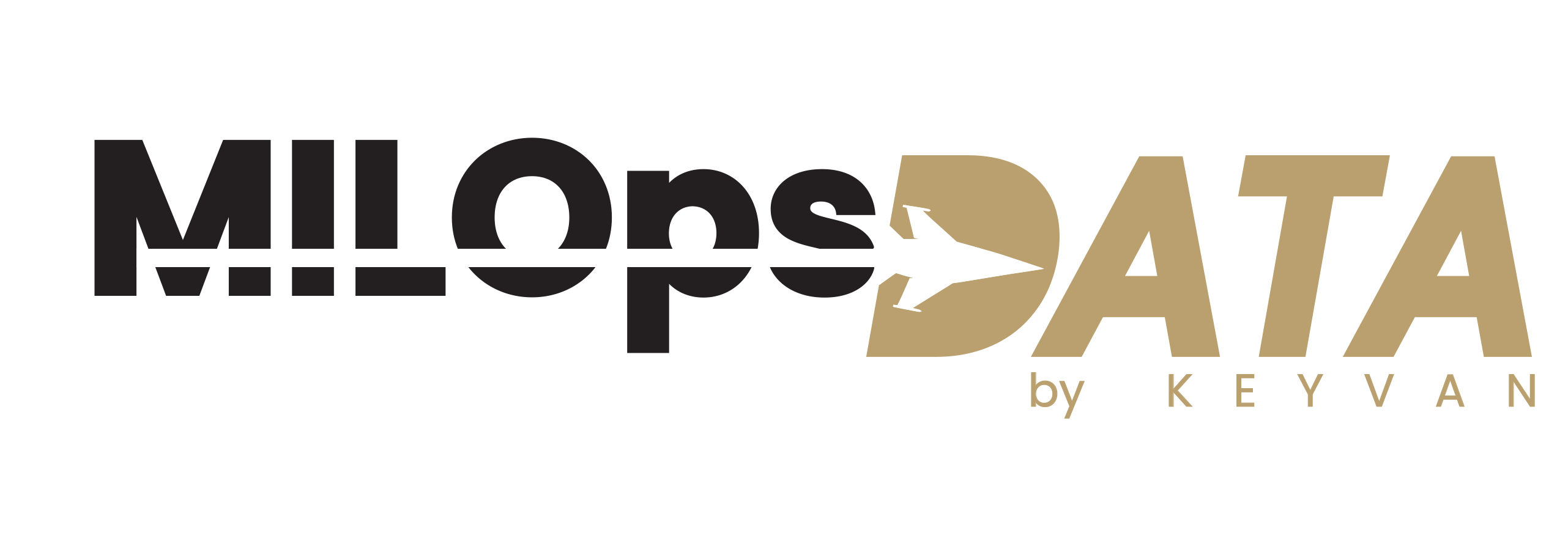 KEYVAN AVIATION FEINDEF 2025